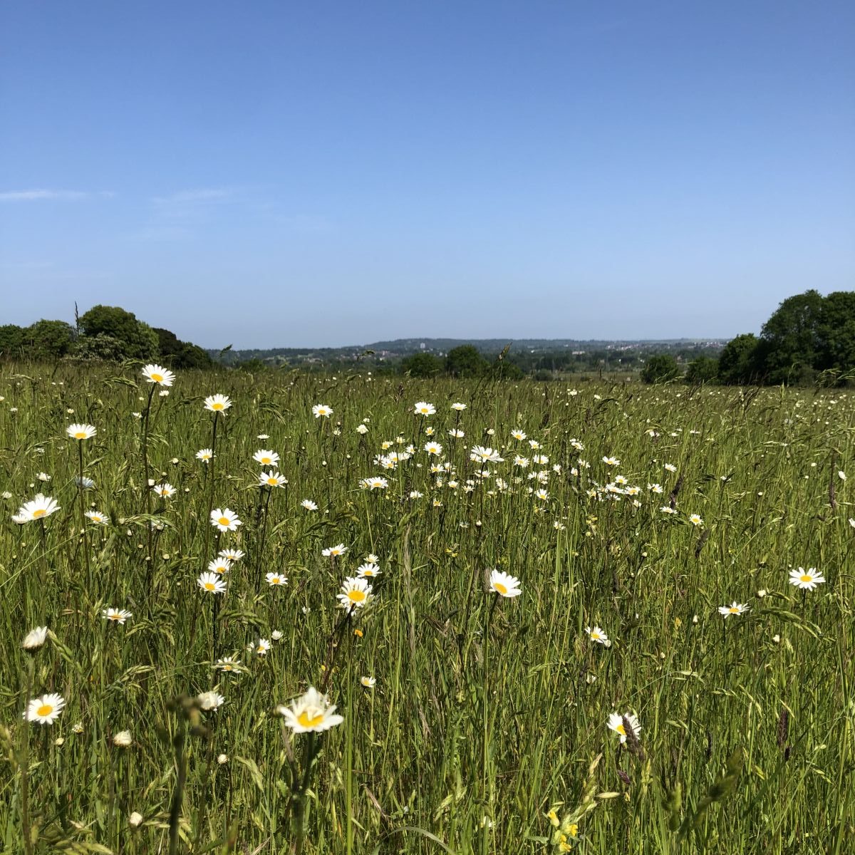Location, location, location - Adrian James Architects Oxford